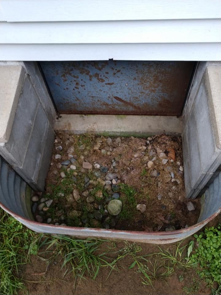 Buckets of Frogs — Michigan Backyard Journal