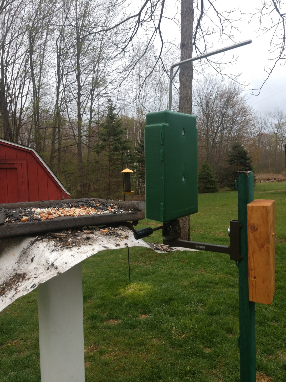 New Bird Photo Booth setup — Michigan Backyard Journal