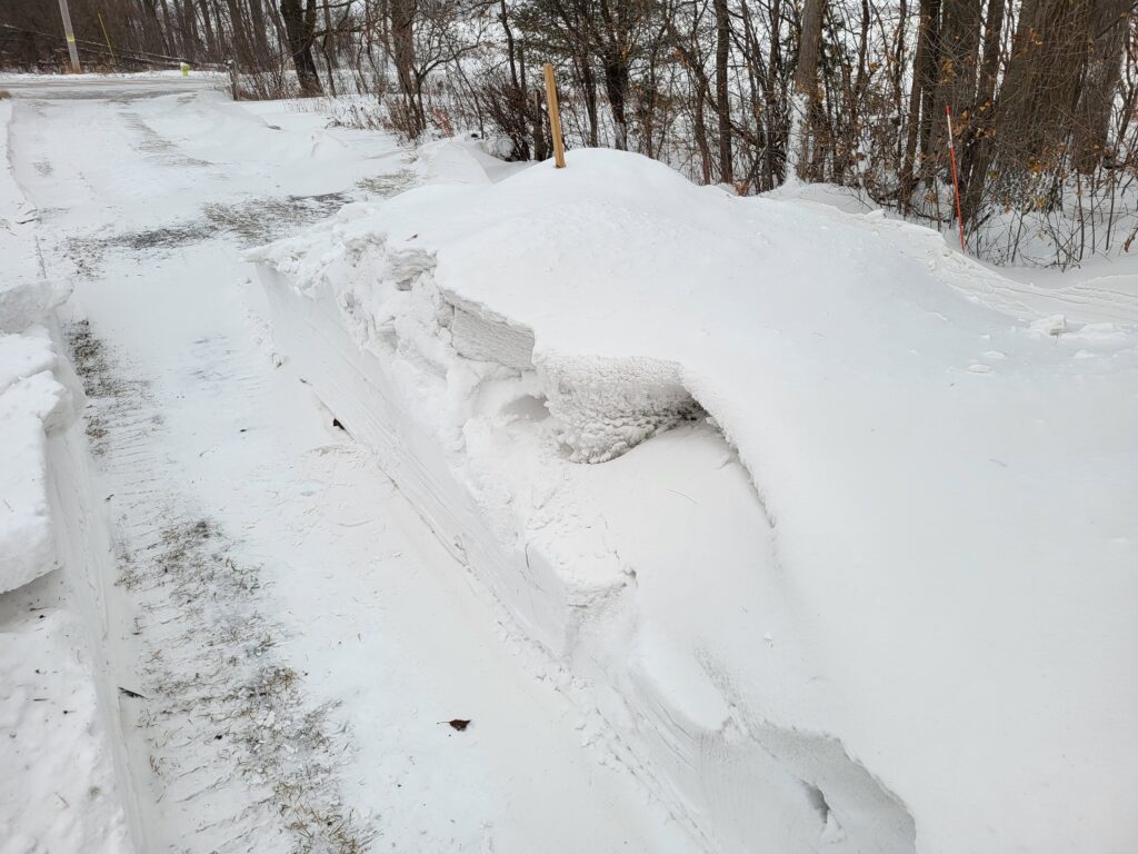Snowed In on Christmas Eve — Michigan Backyard Journal
