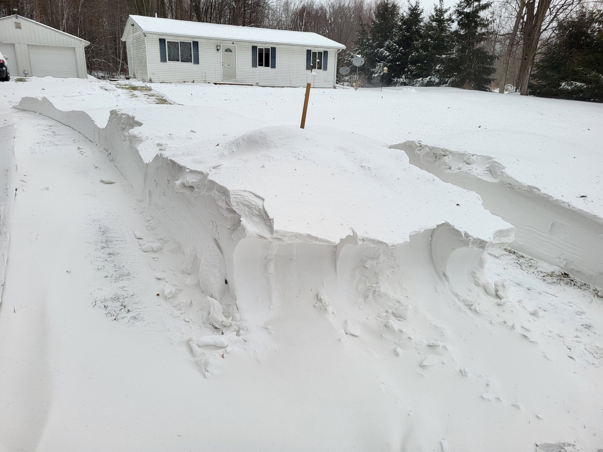 Snowed In on Christmas Eve — Michigan Backyard Journal