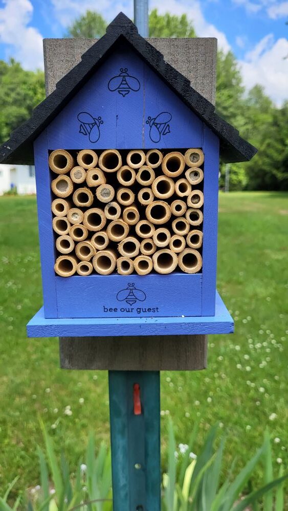 Solitary Bee House Updates — Michigan Backyard Journal